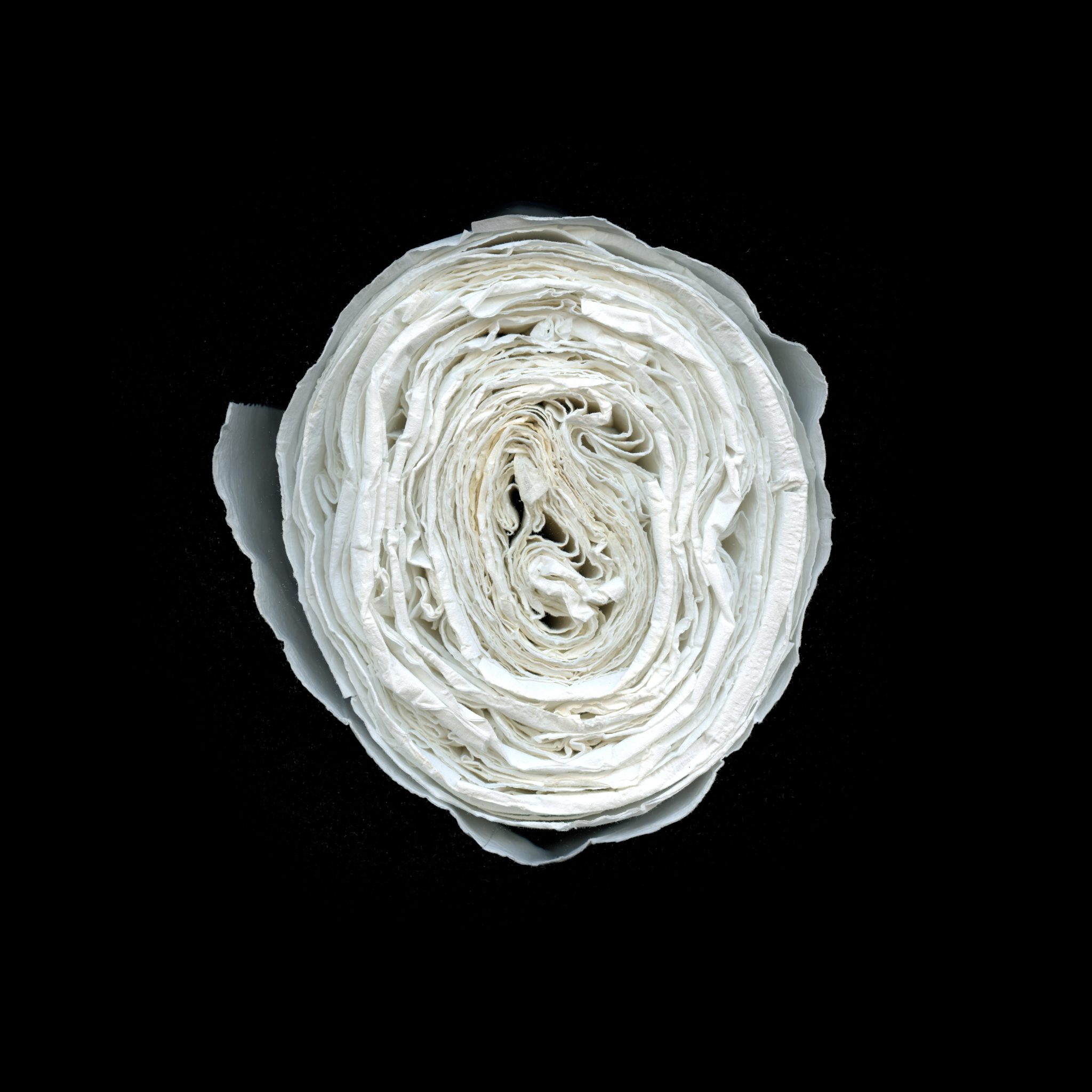 Home Alone Together: Sam Winston - Image Journal