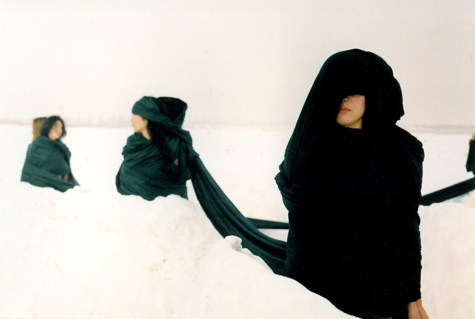 Curator’s Corner - Image Journal