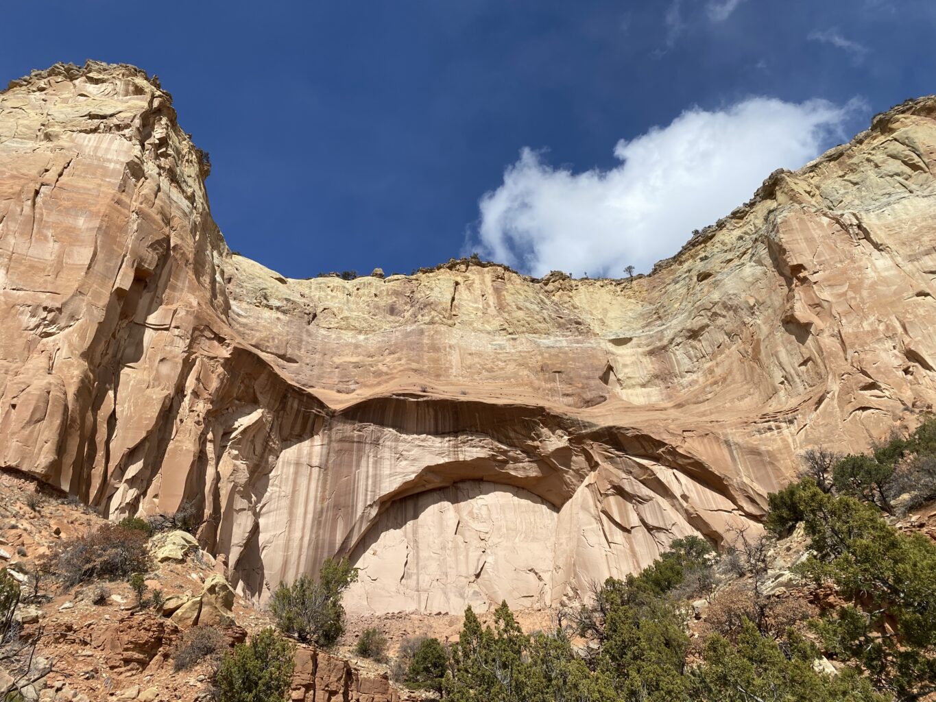 Issue 117 - Image Journal