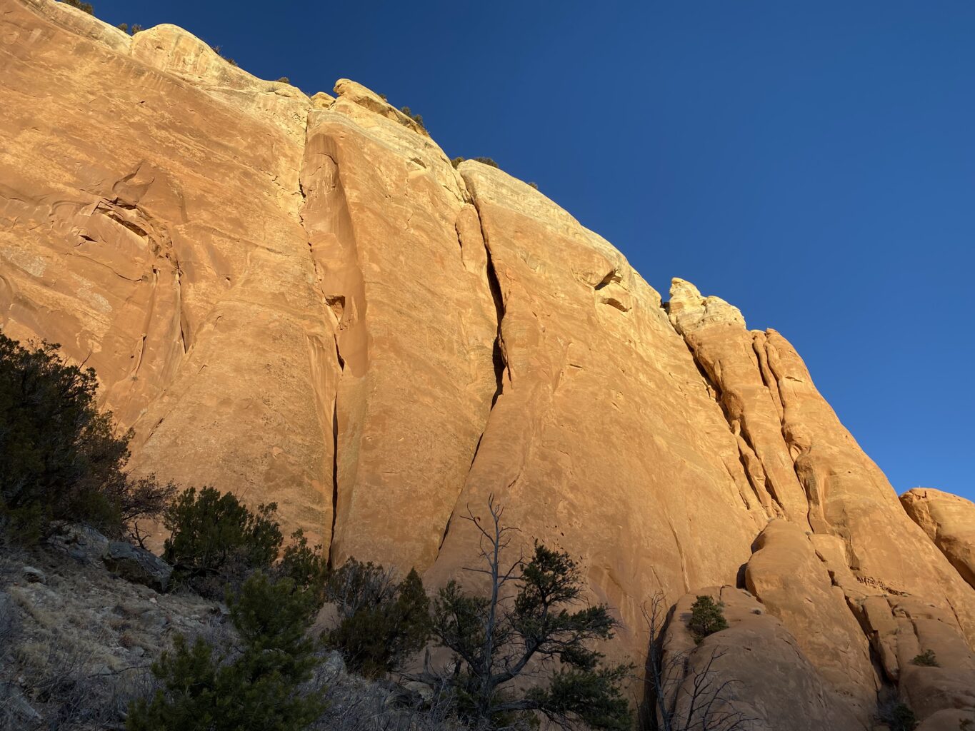 Canyon of Voices: Robert Kyr’s Songs for a Stricken Planet - Image Journal