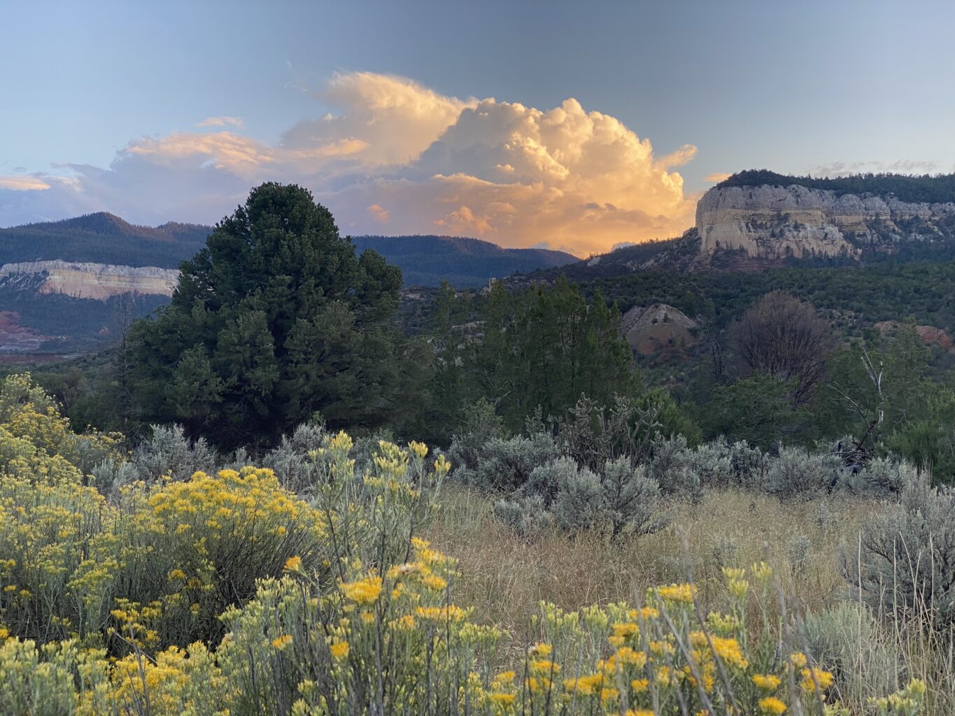 Canyon of Voices: Robert Kyr’s Songs for a Stricken Planet - Image Journal