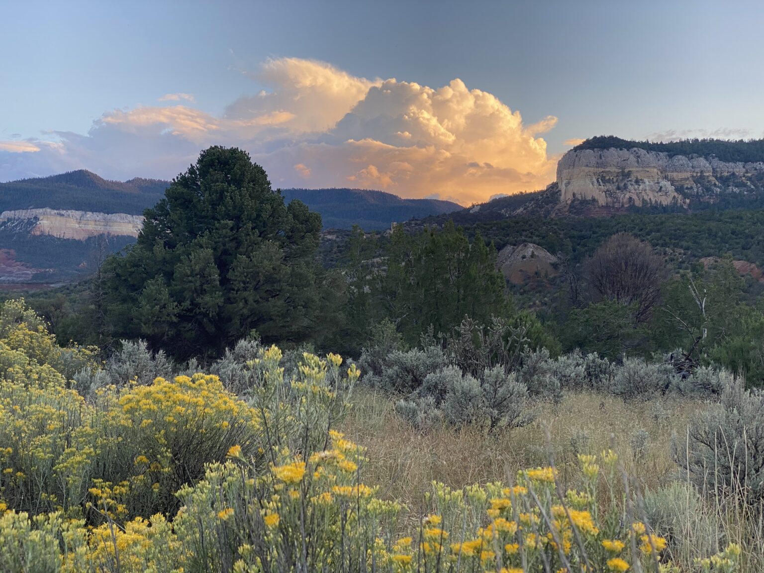 Canyon of Voices: Robert Kyr’s Songs for a Stricken Planet - Image Journal