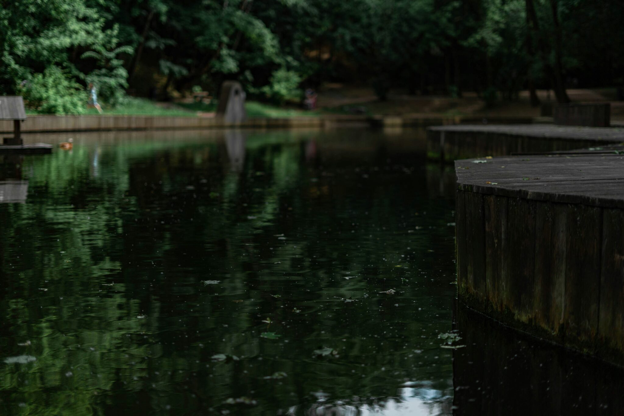 “Before I Understood This Place” - Image Journal